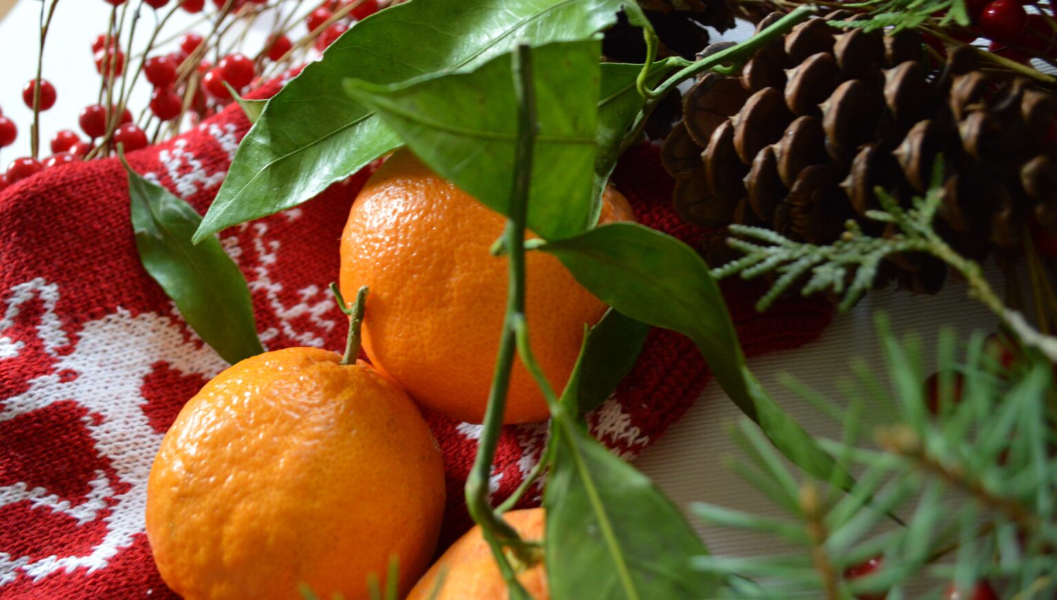 Traditions and Oranges at Christmas - Stories & Thyme